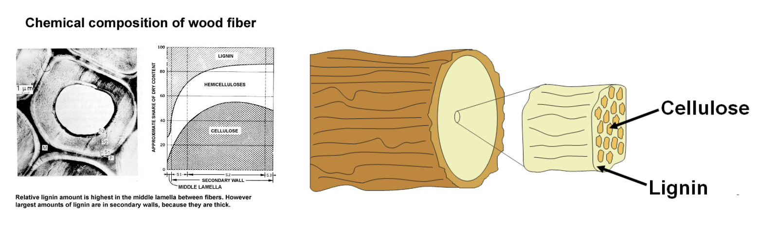 Composite Materials: Where do they come from?