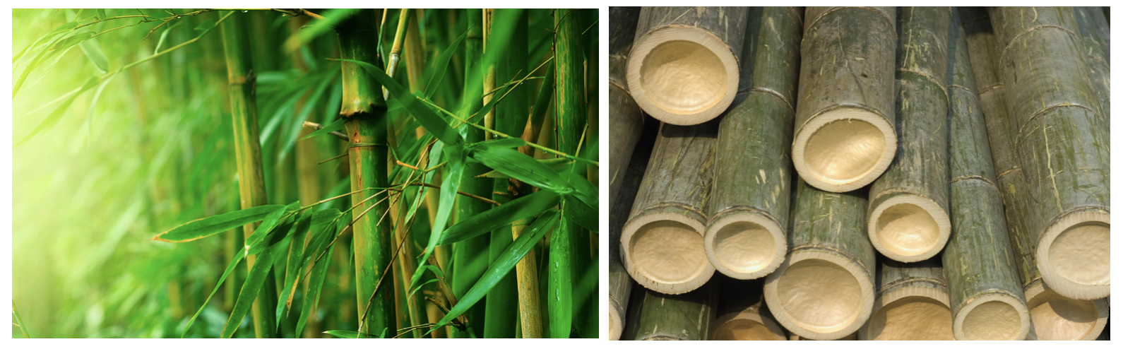 Composite Materials: Where do they come from?